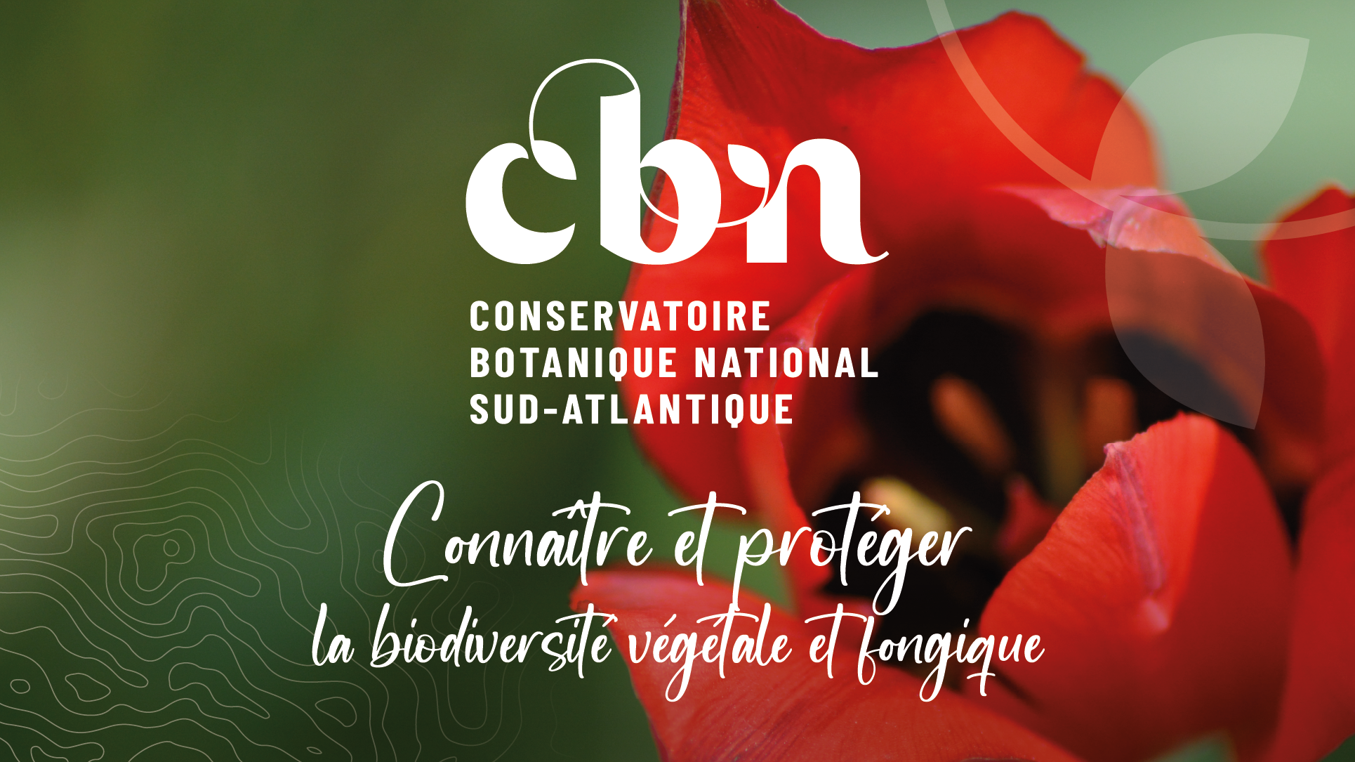 Notre expertise | CBN Sud-Atlantique